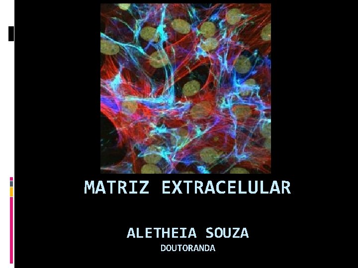 MATRIZ EXTRACELULAR ALETHEIA SOUZA DOUTORANDA Matriz extracelular Definio