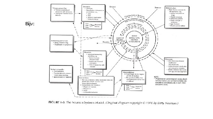 College verpleegkundige theorien Onderdeel van basissemester HBOV 2018