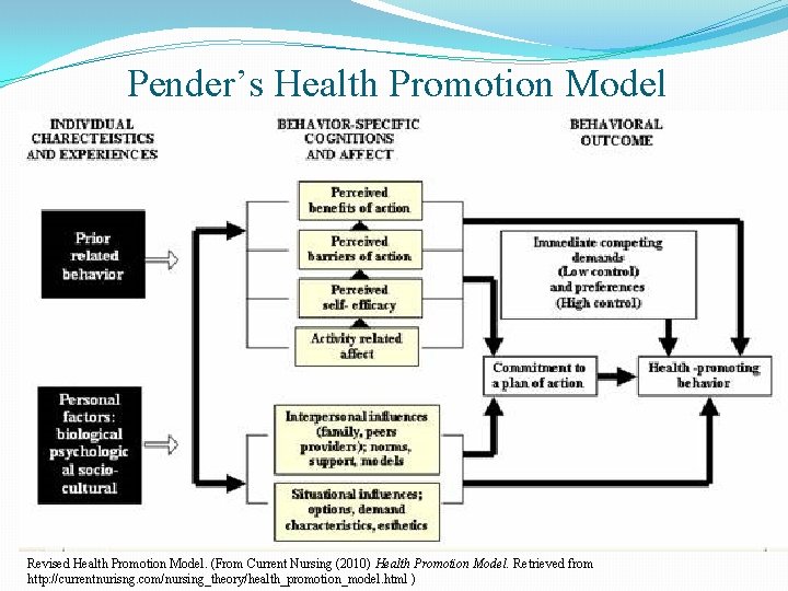 Penders Health Promotion Model Presented by Jessica Konopka