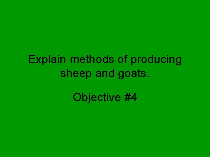 Exploring the Sheep Goat Industry Lesson Interest Approach