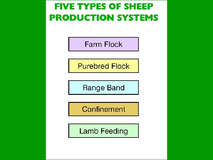 Exploring the Sheep Goat Industry Lesson Interest Approach