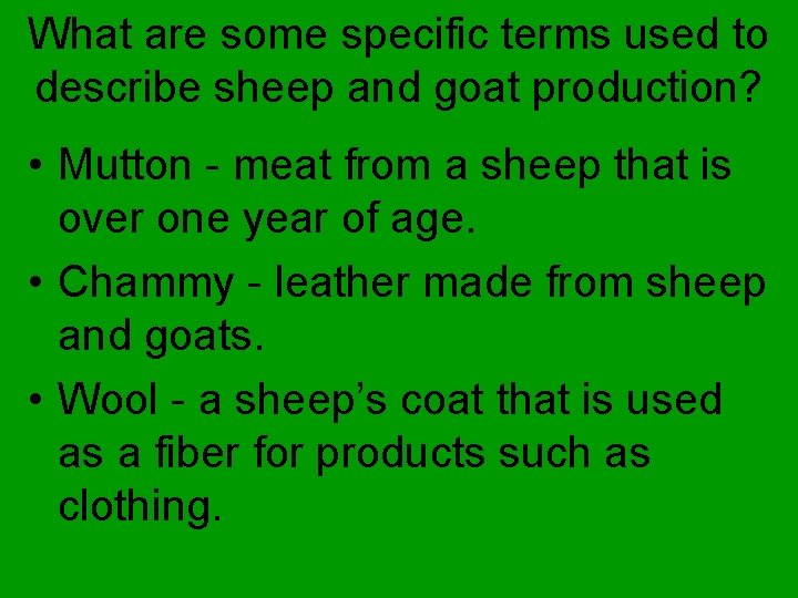 Exploring the Sheep Goat Industry Lesson Interest Approach