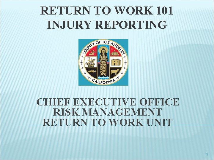 RETURN TO WORK 101 INJURY REPORTING CHIEF EXECUTIVE