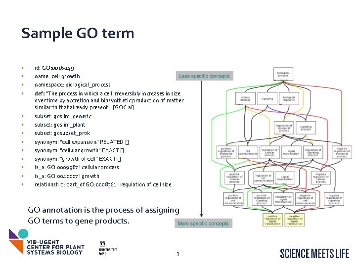 Functional Plant Bioinformatics Functional annotation concept GO projection