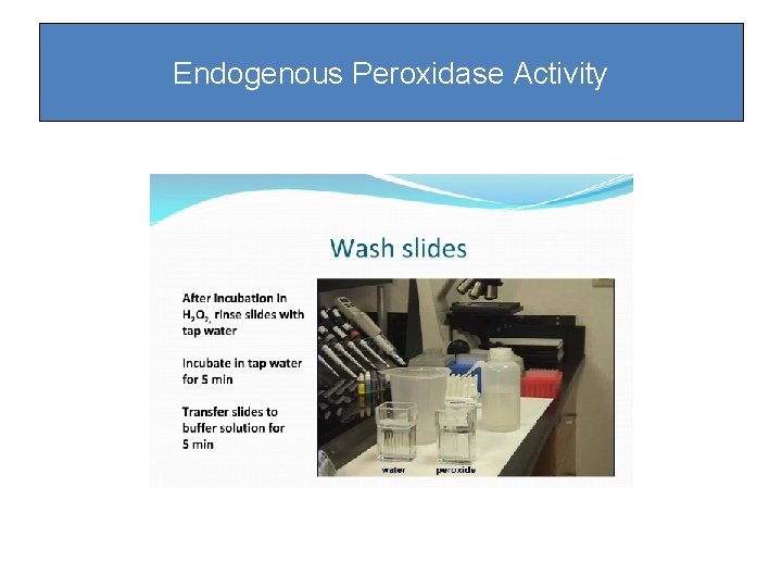STAINING PROCEDURE FOR PARAFFIN SECTIONS 1 Deparaffinize and
