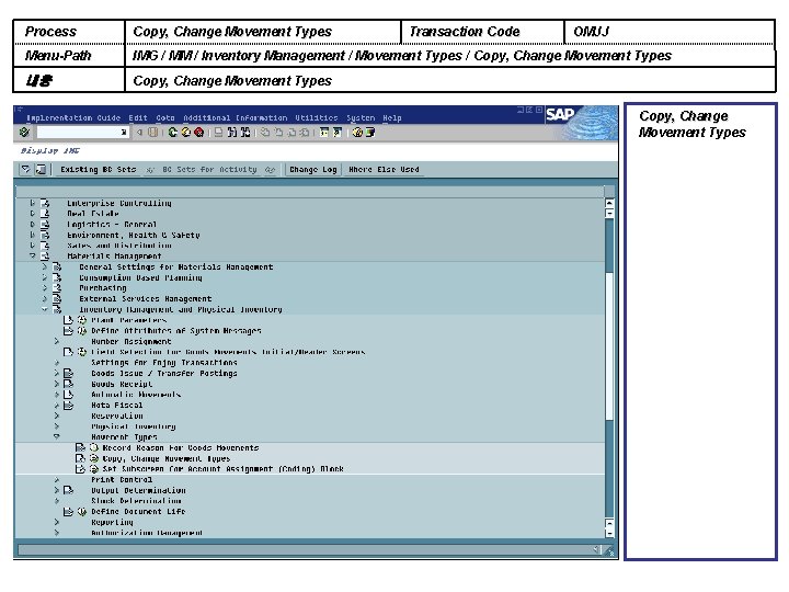 Process Copy Change Movement Types Transaction Code OMJJ