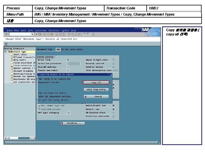Process Copy Change Movement Types Transaction Code OMJJ