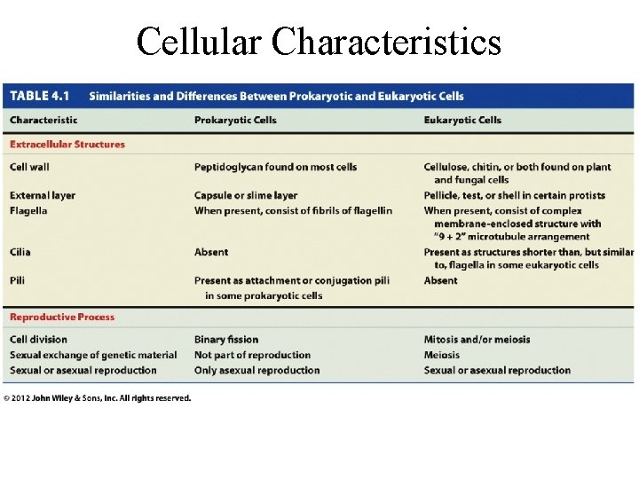 CHARACTERISTICS OF PROKARYOTIC AND EUKARYOTIC CELLS CHAPTER 4