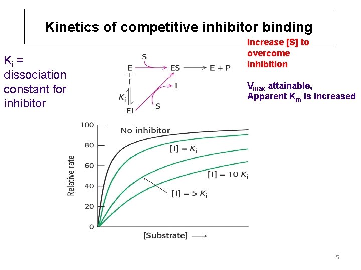 Lecture 7 Kumar Enzyme InhibitionDrug Discovery Aspirin antiinflammatory