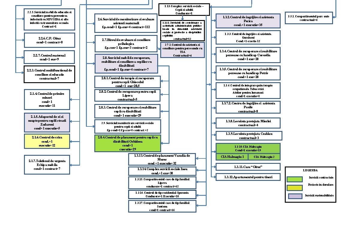 ORGANIGRAMA DGASPC ARAD Anexa nr 1 la HCJ