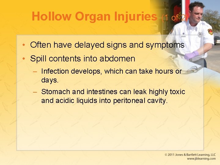 Chapter 28 Abdominal and Genitourinary Injuries Anatomy and