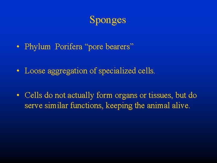 Unit 7 Introduction Marine Animals sans Backbone Where