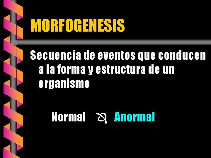 EMBRIOLOGIA CELULAR Y GENETICA MORFOGENESIS Secuencia de eventos