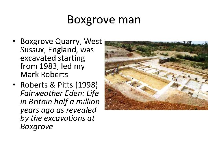 Lecture 2 Chapter 2 The collective brain exchange