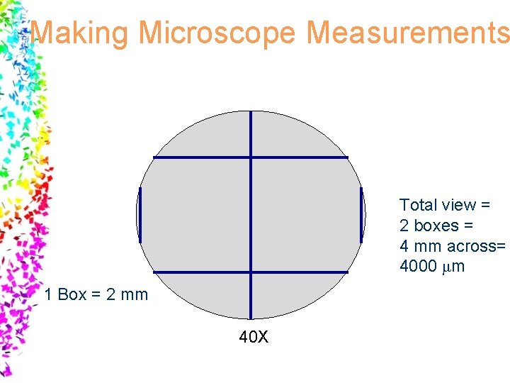 Word of the Day Basic Laboratory Skills Magnification