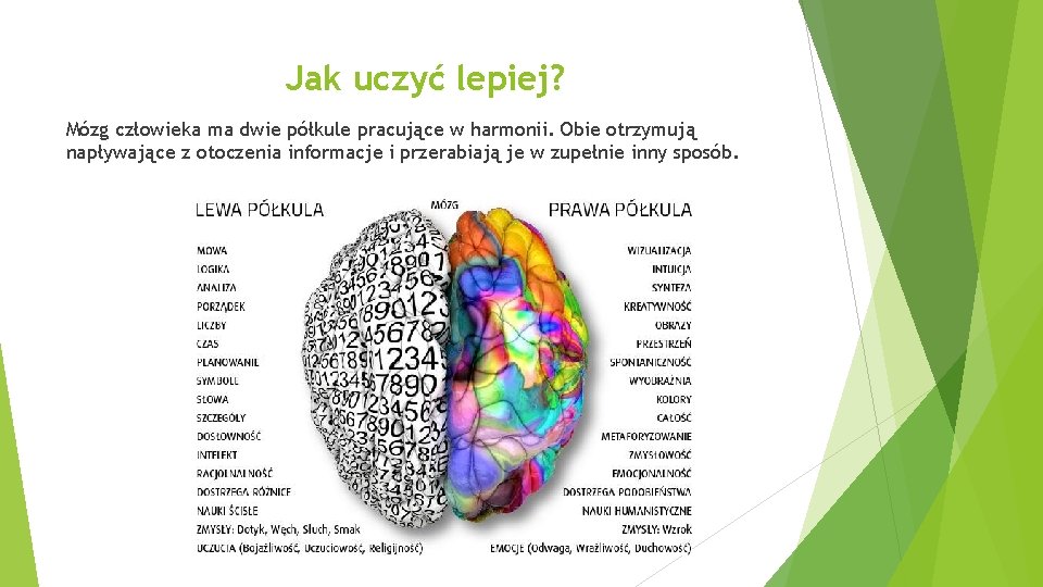 Style i strategie uczenia si Magdalena Dobosz Studia