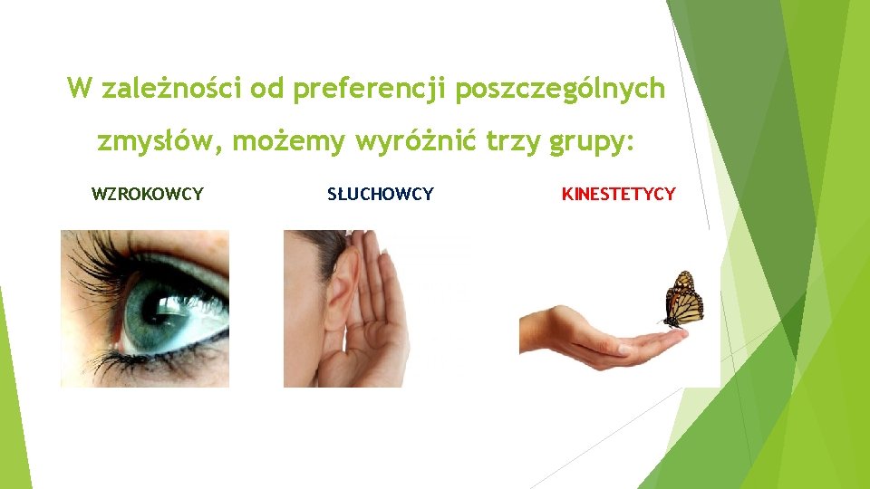 Style i strategie uczenia si Magdalena Dobosz Studia