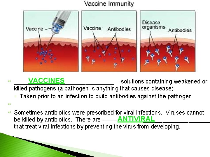 Health Disease Domain Bacteria Domain Archaea Kingdom Eubacteria