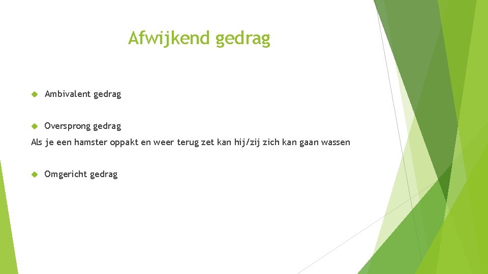 hamster lichaamstaal Bange houding op zijn hoede Nieuwsgierig