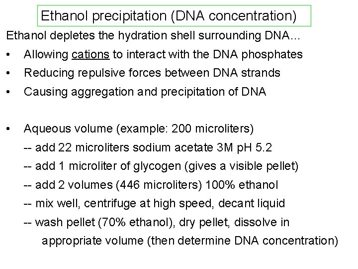 DNA and RNA isolation and purification course readings