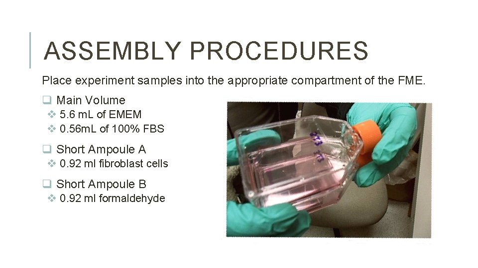 FIBROBLAST DIVISION IN MICROGRAVITY Jennifer Jiang Jasmine Kuo