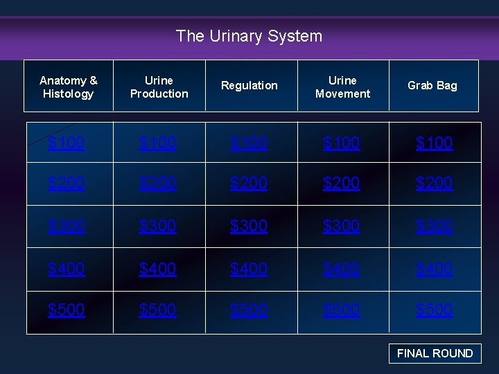 The Urinary System Anatomy Histology Urine Production Regulation