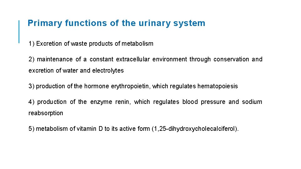 OVERVIEW OF THE URINARY SYSTEM Primary functions of