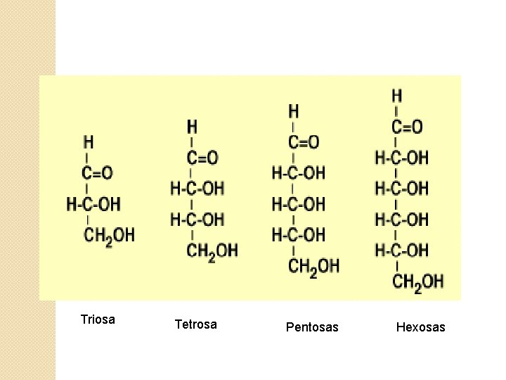 Molculas Inorgnicas Sales minerales cidos nucleicos Orgnicas Lpidos