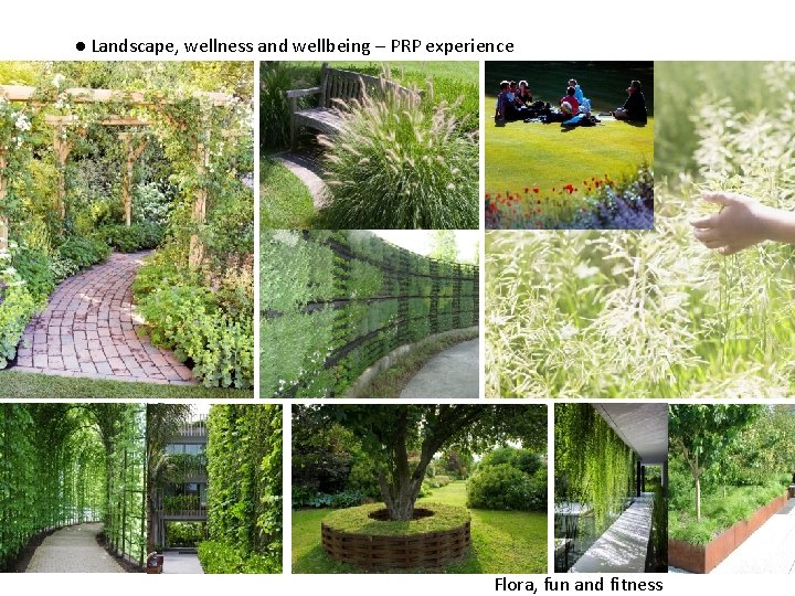 Landscape at Approaches to design promoting physical activity