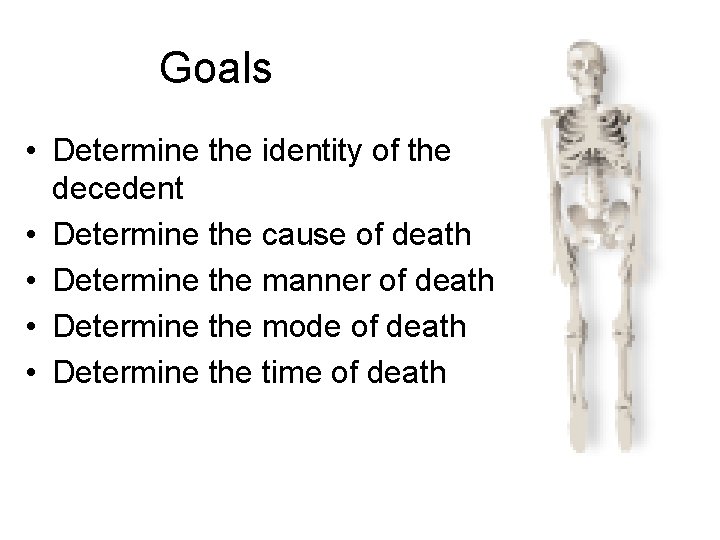 Autopsy Analyzing The Human Body WARNING The squeamish