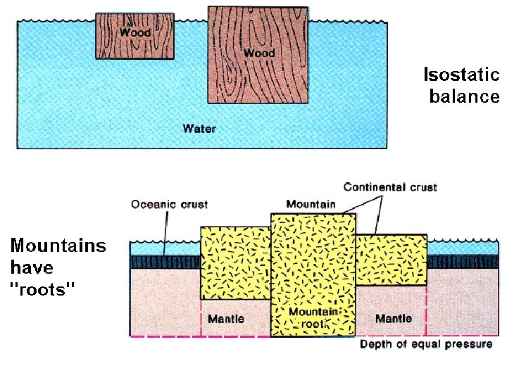 rpole req Earth has an equatorial bulge and