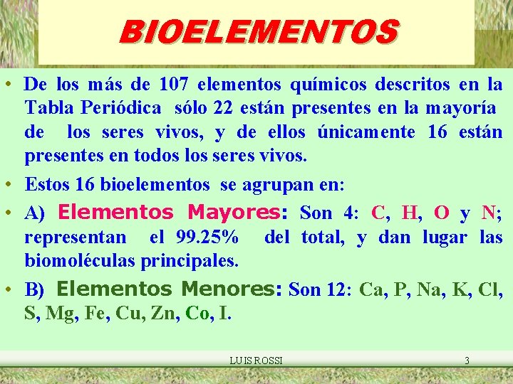 COMPOSICION EN BIOELEMENTOS DEL CUERPO HUMANO 99 25
