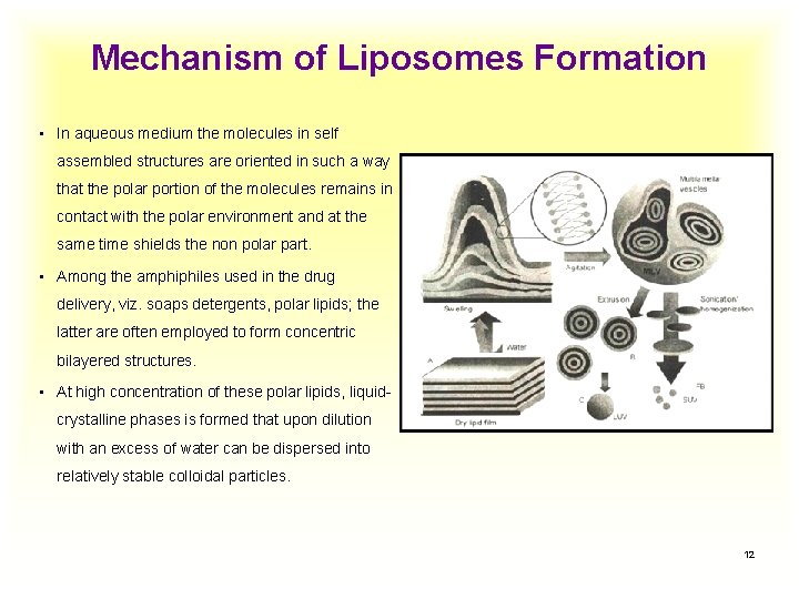 Types Mechanism Sizing Preparation of Liposomes A Literature