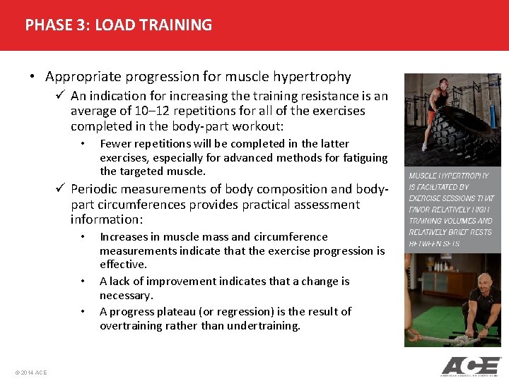 ACE PERSONAL TRAINER MANUAL 5 TH EDITION Chapter