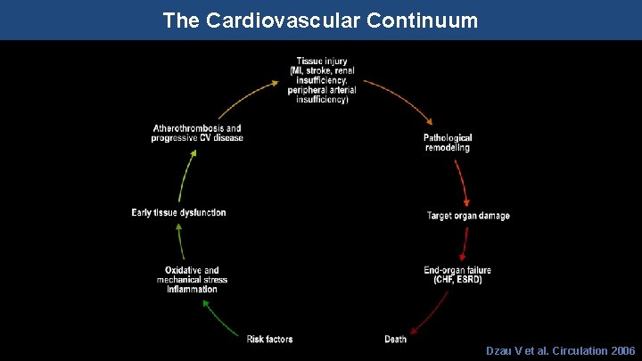 Assessment of Target Organ Damage Established and Novel