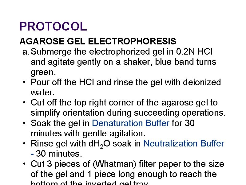 HistoryBackground a Southern hybridization named after Sir Edwin