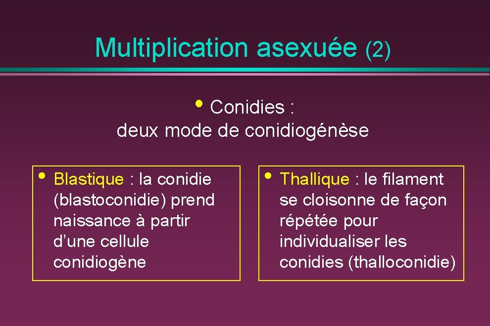 Travaux pratiques de biologie cellulaire en mycologie Monique