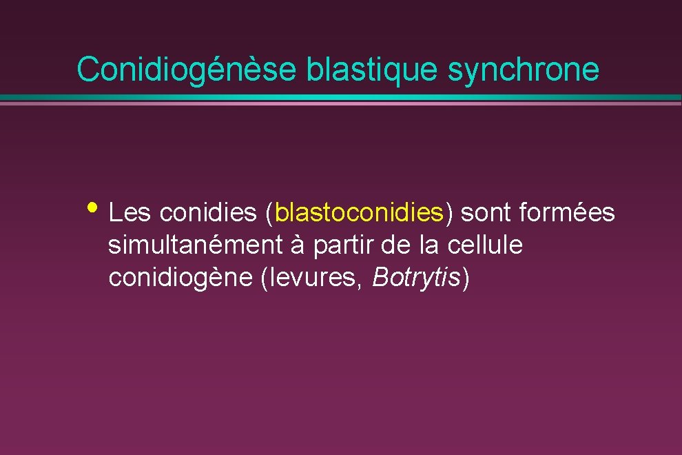 Travaux pratiques de biologie cellulaire en mycologie Monique