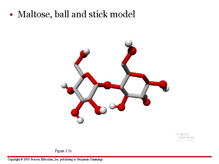 Carbon and organic molecules Carbon and its bonds