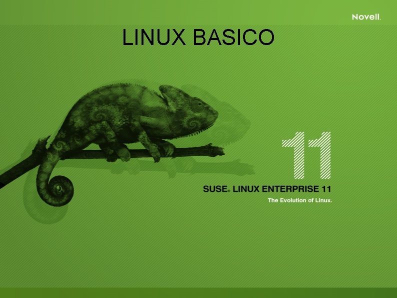 LINUX BASICO LINUX BASICO Archivos CONCEPTO DIRECTORIOS NOMBRES