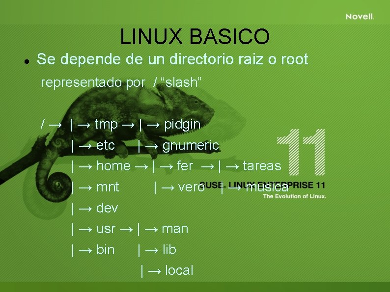 LINUX BASICO LINUX BASICO Archivos CONCEPTO DIRECTORIOS NOMBRES