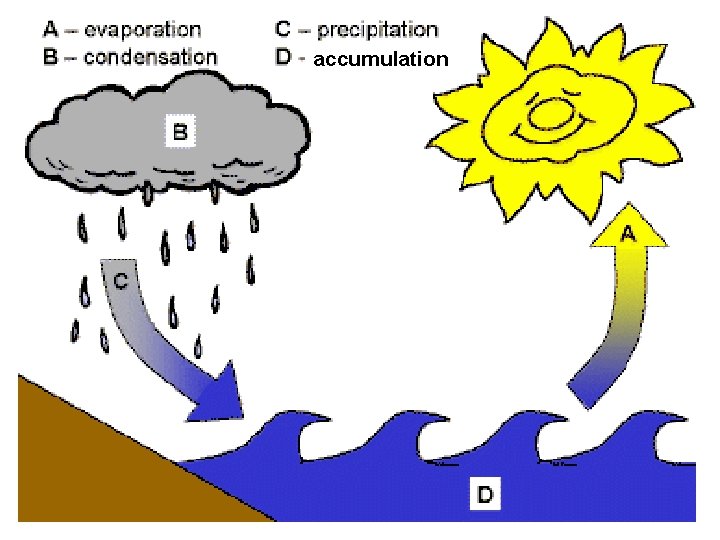 The Water Cycle The continuous movement of different
