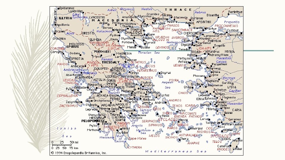 The Rise of Sparta Spartan Constitution and Spartan