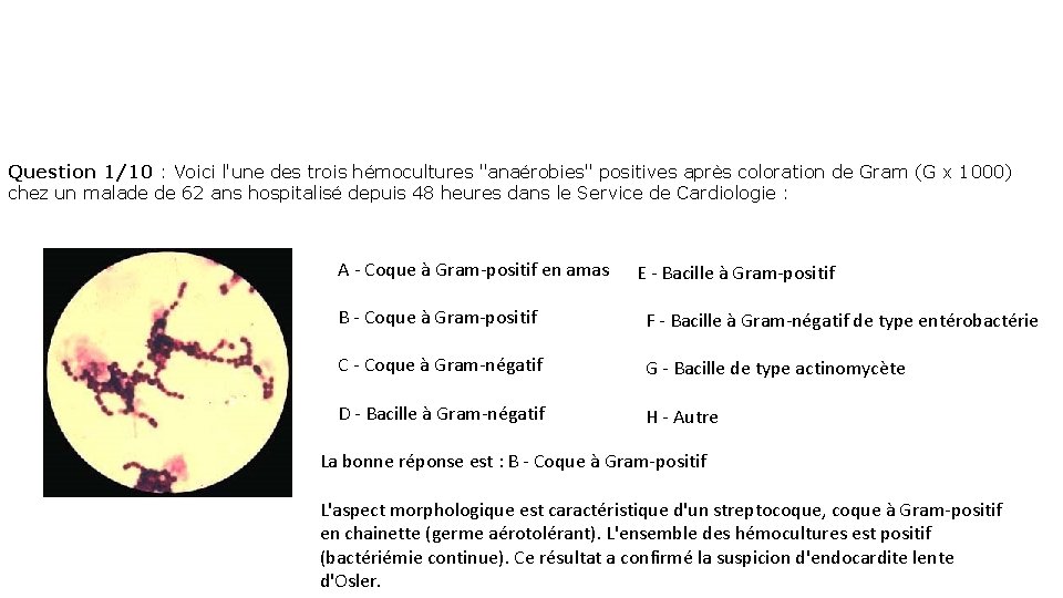 Examen direct bactriologie Lexamen microscopique ou encore examen