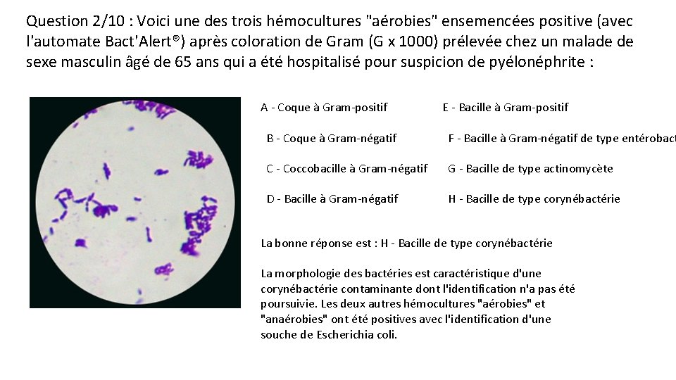 Examen direct bactriologie Lexamen microscopique ou encore examen