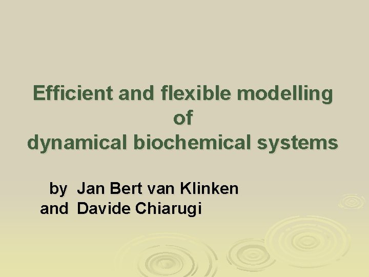 Efficient and flexible modelling of dynamical biochemical systems