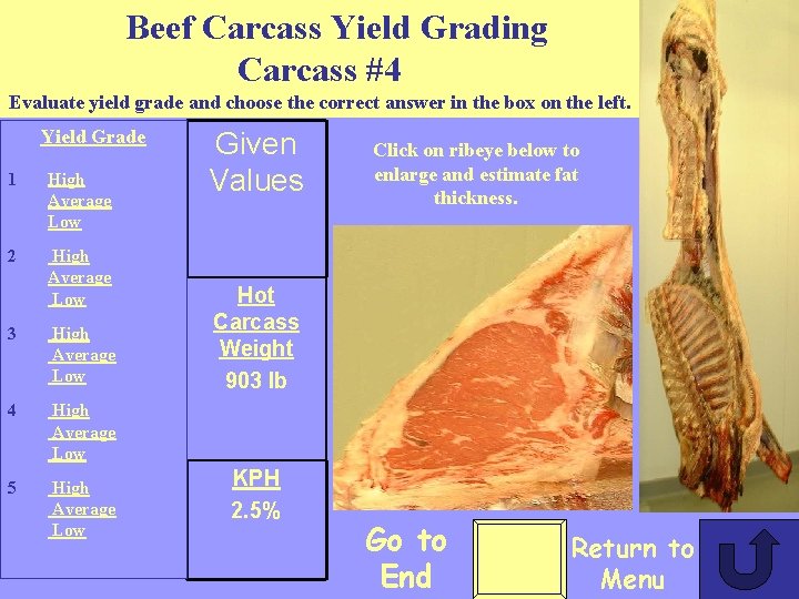 Beef Carcass Yield Grading CDE Practice Based on