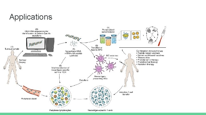 Synthetic Biology Erik Mihelic Content Definition Brief History