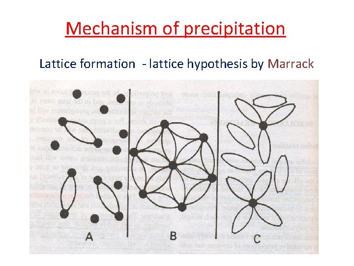 AntigenAntibody reactions Ag Ab reactions in vitro are