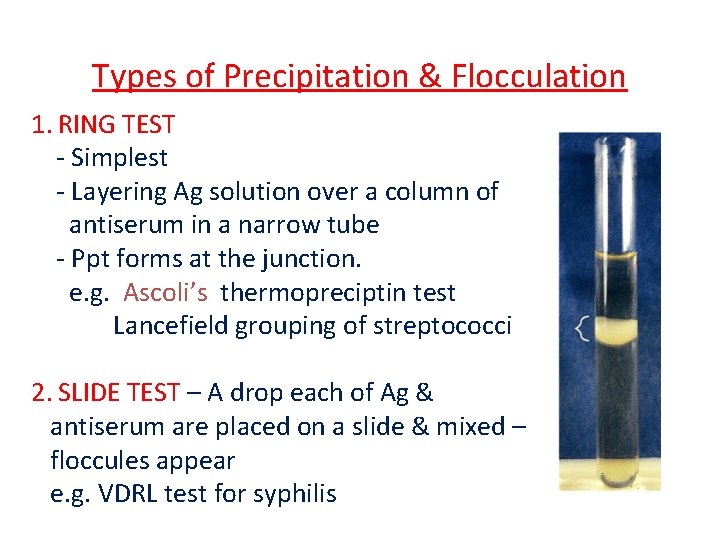 AntigenAntibody reactions Ag Ab reactions in vitro are